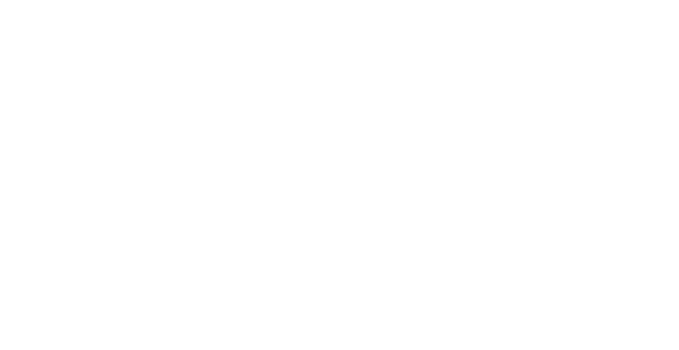 TOYS - 3299 Pet Accessories
